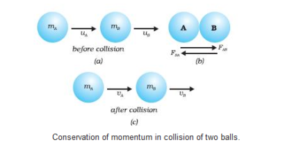 Class 9 Force and Laws of Motion Notes - BrainIgniterBrainIgniter