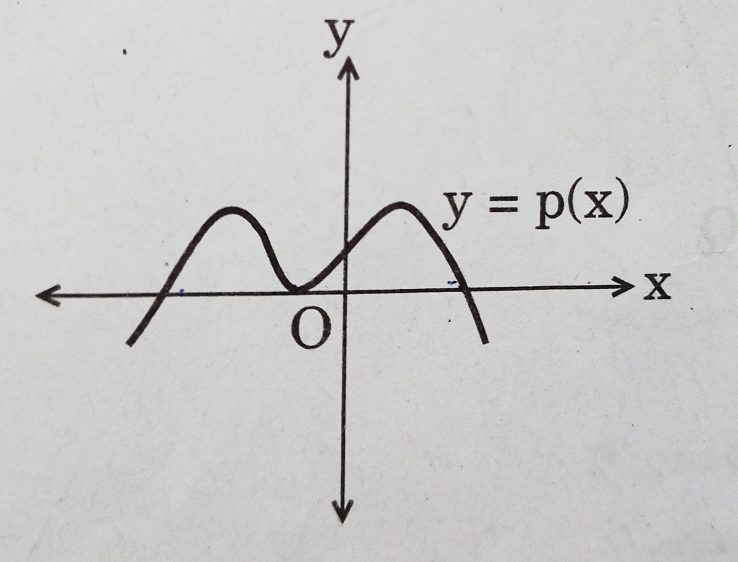 Class 10 Polynomials Previous Years Questions - BrainIgniterBrainIgniter