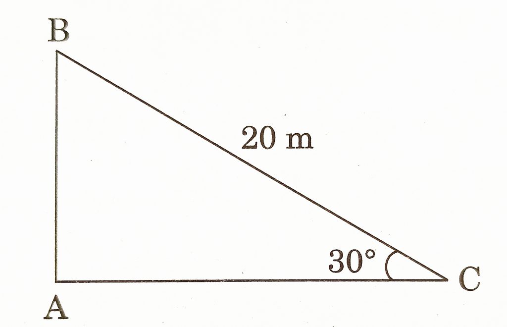 Class 10 Some Applications of Trigonometry Previous Years Questions ...